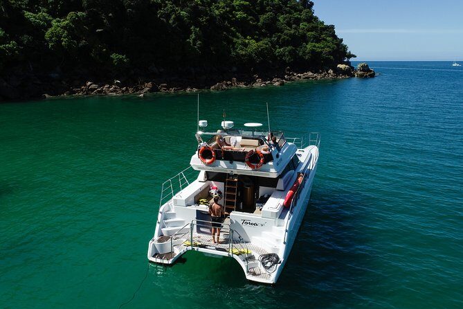 Private boat charter in Abel Tasman National Park - Who Should Consider This Tour?