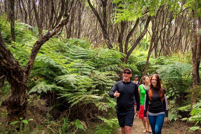 Private boat charter in Abel Tasman National Park - Frequently Asked Questions
