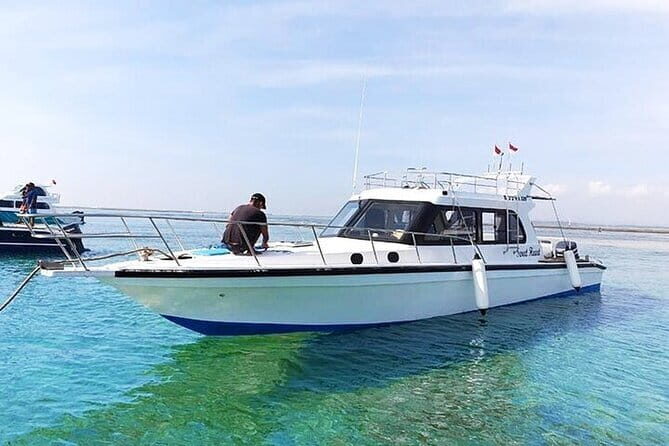 Private Boat Charter Nusa Penida Day Trip - Who Will Love This Tour?