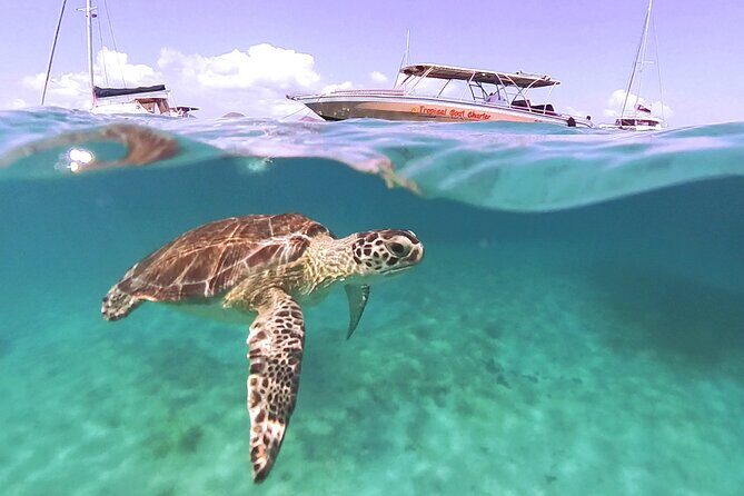 Private Boat Charter Saint Martin & natural reserve - Final Thoughts