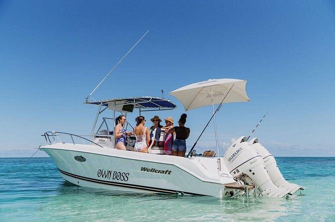 Private Boat Charter Snorkeling Stingray City or Bio Bay - The Experience and the Guides