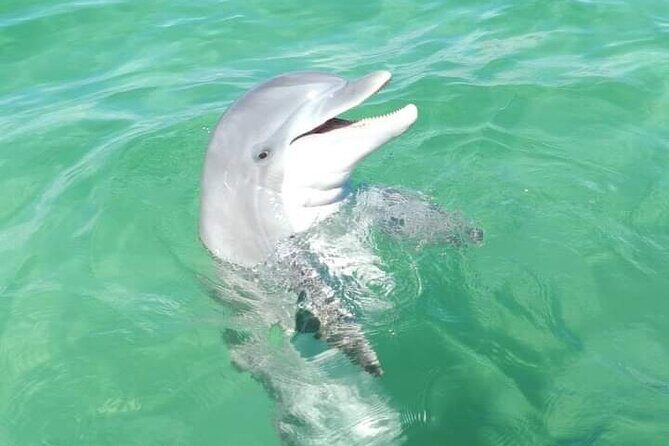 Private Boat Charters Destin Florida - Key Points