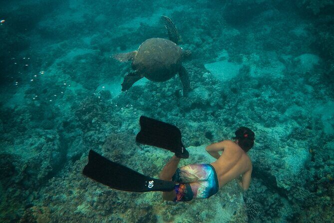 Private Boat Cruise of Waikiki! Snorkel, Sightseeing, Sea Life! - What Makes This Tour Stand Out