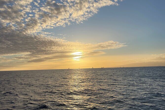Private Boat Cruise of Waikiki! Snorkel, Sightseeing, Sea Life! - Final Thoughts: Why It’s a Great Choice