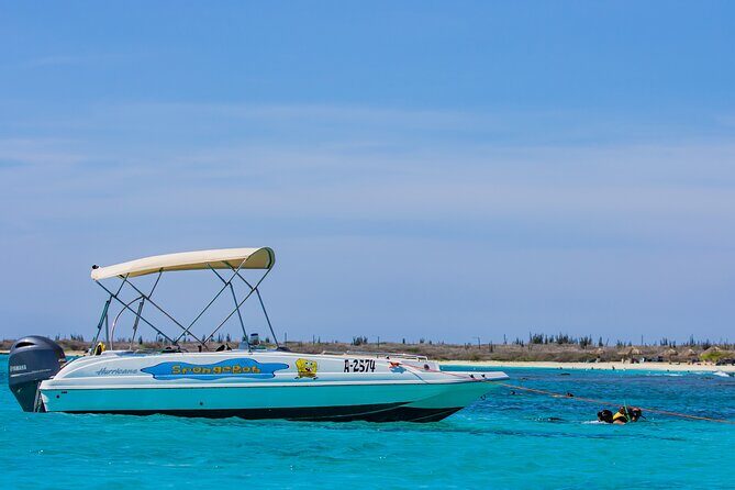 Private Boat Cruise with Snorkeling - Key Points