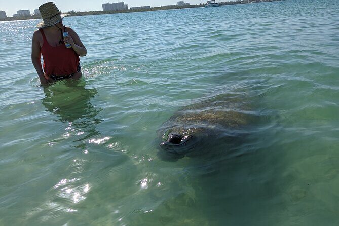 Private Boat Day Tour In Sarasota - An In-Depth Look at the Sarasota Private Boat Tour