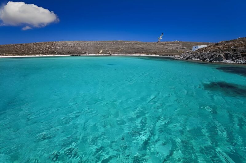Private Boat Delos and Rineia Cruise Tour - The Experience: Balancing Value, Comfort, and Authenticity