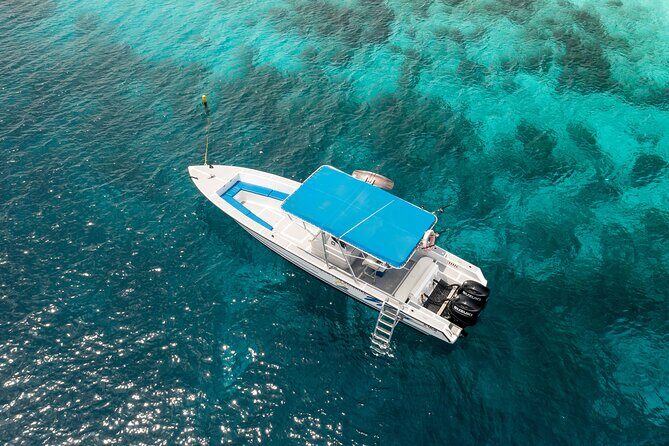 private Boat Dive charter with local guide and all Equipment - An In-Depth Look at the Bonaire Private Boat Dive Experience