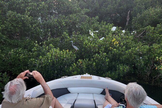 Private Boat: Island Cruise and Dolphins - Final Thoughts