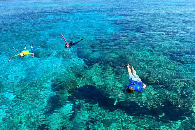 Private Boat Island Hopping & Snorkeling in Turks & Caicos 4Hrs - A Deep Dive into the Experience