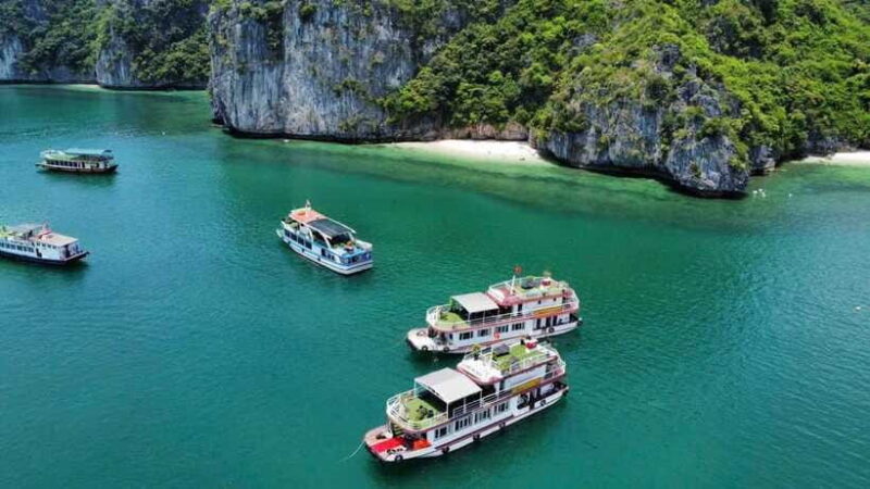 Private boat- Lan Ha Bay Half Day Tour with kayaking - The Experience Provider and Whats Included
