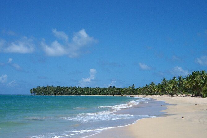 Private Boat Nature Tour of Limón Beach and Lagoon - Key Points