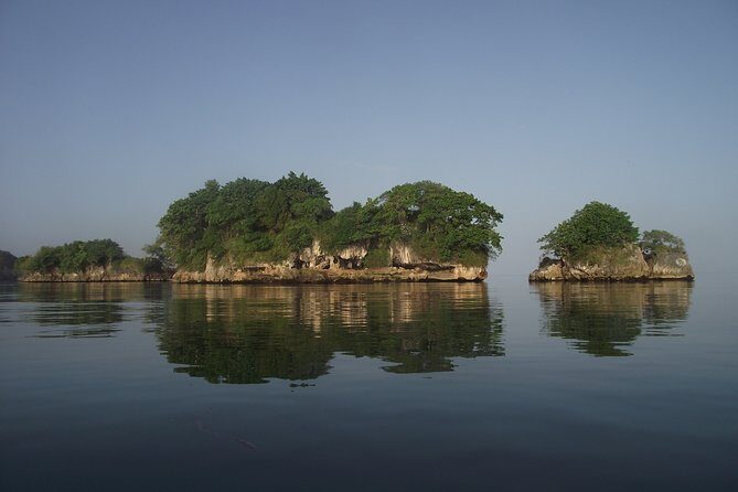 Private Boat Nature Tour of Los Haitises National Park - An In-Depth Look at the Los Haitises Experience