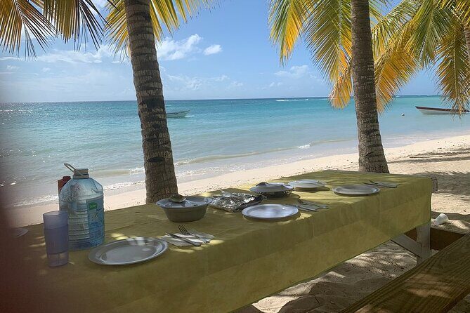 Private Boat Nature Tour of Saona Island - An In-Depth Look at the Tour Experience