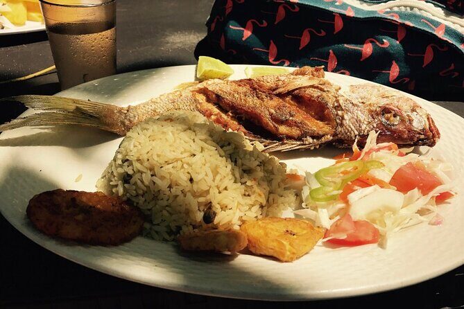 Private Boat Nature Tour of Saona Island - Final Thoughts