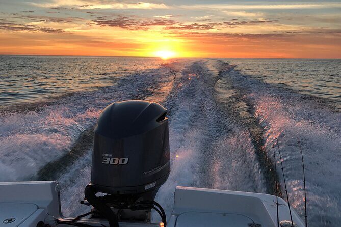 Private boat offering dolphin watching, island excursions and nature tours - Breaking Down the Experience