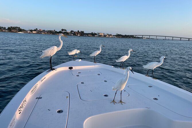 Private boat offering dolphin watching, island excursions and nature tours - Authentic and Trustworthy Testimonials