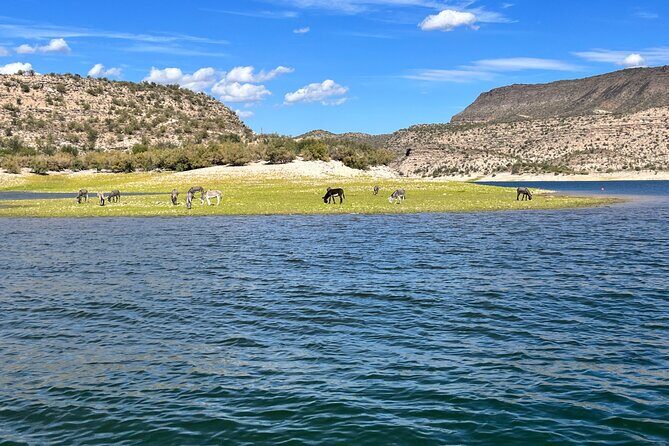 Private Boat Rental w/Captain in Lake Pleasant Arizona - A Closer Look at the Lake Pleasant Boat Experience