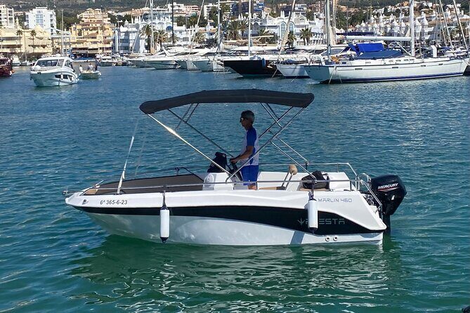 Private boat rental without title dolphin watching - Key Points
