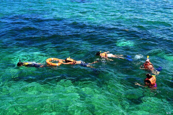Private Boat Ride & Snorkeling Tour In Puerto Morelos - FAQ