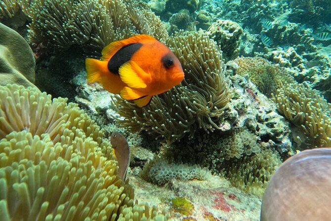 Private Boat Route B by Long Tail Boat - Key Points