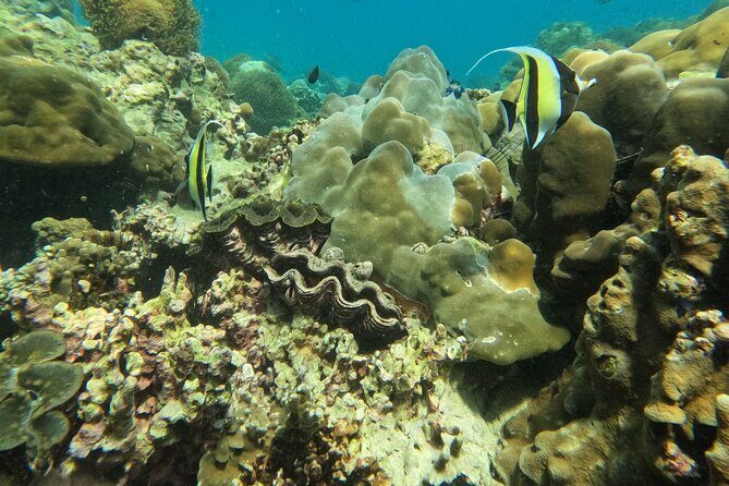 Private Boat Route B by Long Tail Boat - What to Expect: A Day of Island Hopping, Snorkeling, and Scenic Views