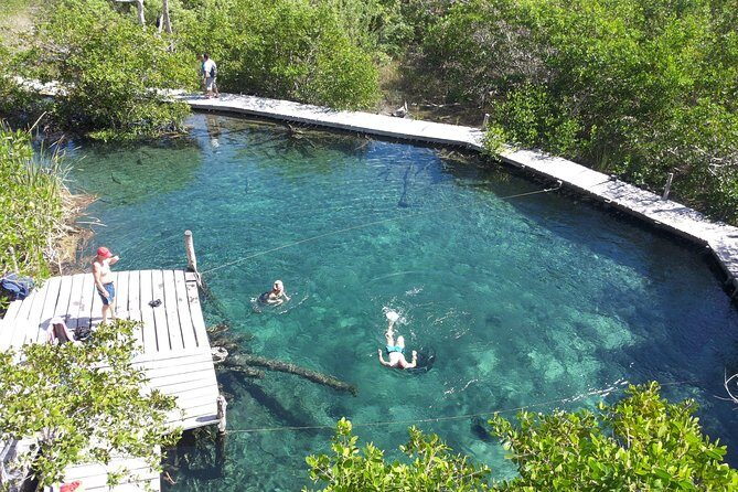 Private Boat to visit Holbox surroundings (3-Island Tour) - Key Points