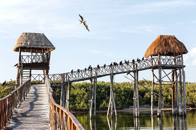 Private Boat to visit Holbox surroundings (3-Island Tour) - FAQ: Answering Your Practical Questions