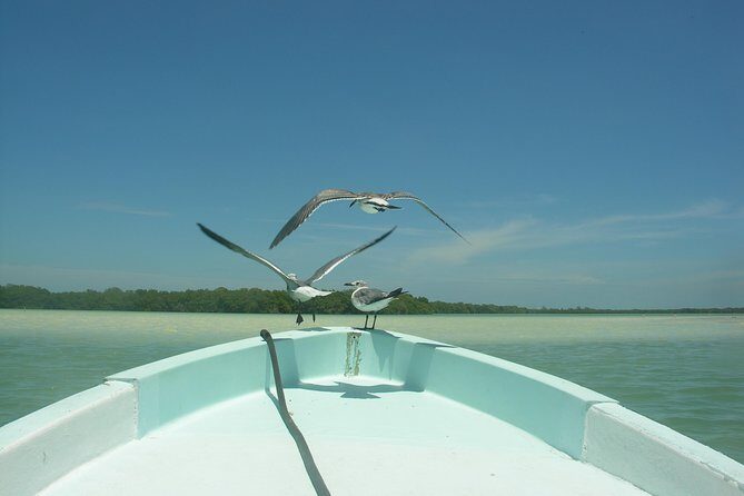 Private Boat to visit Holbox surroundings (3-Island Tour) - Who Should Book This Tour?