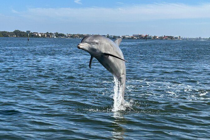 Private Boat Tour - Key Points