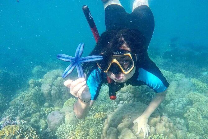 Private Boat Tour at Gili Nanggu, 'Secret Islands' - An Overview of the Tour Experience