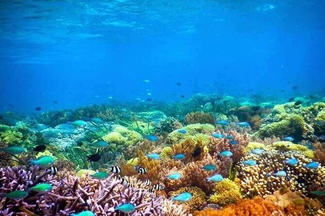 Private Boat Tour at Gili Nanggu, 'Secret Islands' - The Practicalities and Why They Matter