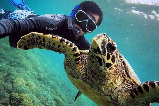 Private Boat Tour at Gili Nanggu, 'Secret Islands' - Authentic Experiences and Real Traveler Insights