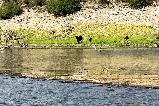 PRIVATE Boat Tour at Lake Pleasant Harbor - The Sum Up: Is This Tour Right for You?
