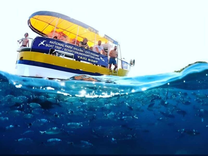 PRIVATE BOAT TOUR FROM FAANA-BRIJUNI & PULA - What Makes This Tour Stand Out