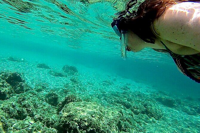 Private Boat Tour from Palma with Snorkeling and Paddle Surfing - The Real Value for Travelers