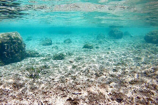 Private Boat Tour from Palma with Snorkeling and Paddle Surfing - Who Will Love This Tour?