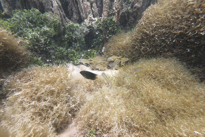 Private Boat Tour in Aruba - Who Will Love This Tour?