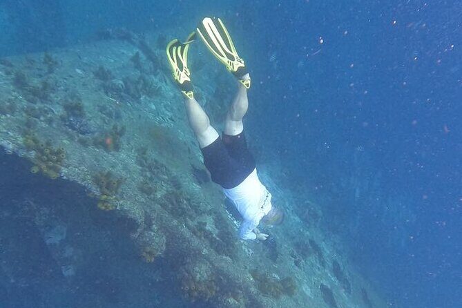 Private Boat Tour in Aruba - FAQ