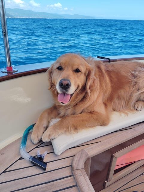 Private boat tour in the Portofino Riviera - Key Points