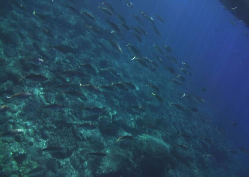 Private Boat Tour Isola Bella Taormina Giardini Naxos - The Sum Up