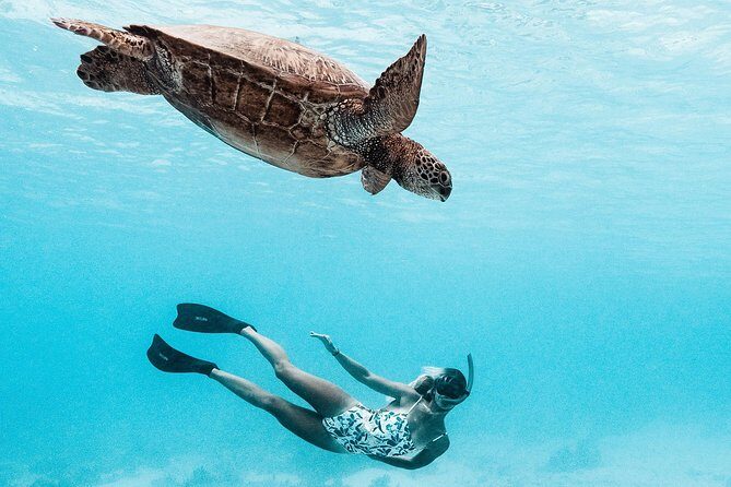 Private Boat Tour of Moorea Lagoon - An Authentic Look at the Moorea Lagoon Private Boat Tour