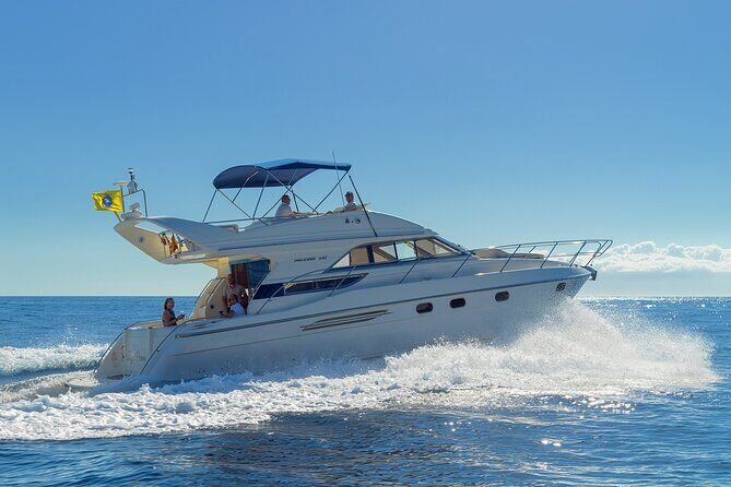 Private Boat Tour on Royal Ocean Yacht, Tenerife - The Experience: A Closer Look at the Itinerary