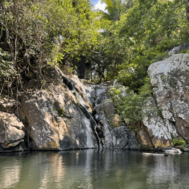 PRIVATE BOAT TOUR | SNORKEL | RESTAURANTS | YELAPA - An In-Depth Look at the Tour Experience