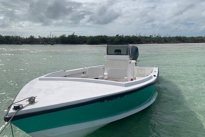 Private Boat Tour to Sand Bar Snorkel Dolphins and Sunset - Analyzing Value & Cost