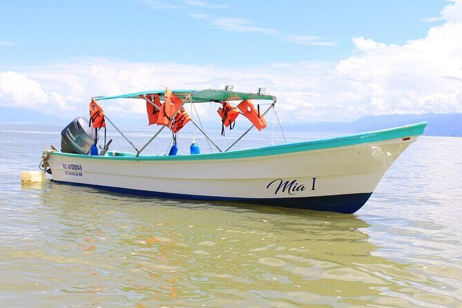 Private Boat Tour to Yelapa and Majahuitas Snorkel (up to 7 guests) - Final Thoughts: Is This Tour Right for You?