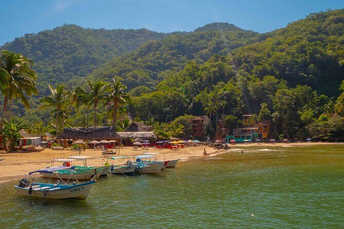 Private Boat Tour to Yelapa with Snorkeling and Waterfall Hike - What Makes This Tour Stand Out?