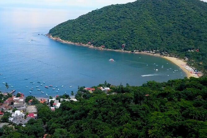 Private Boat Tour to Yelapa with Snorkeling and Waterfall Hike - Who Will Love This Tour?