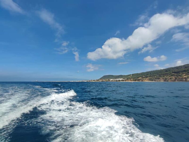 Private Boat Tour with Aperitif and Activities - Trafalgar and Zahara (Cadiz) - FAQ