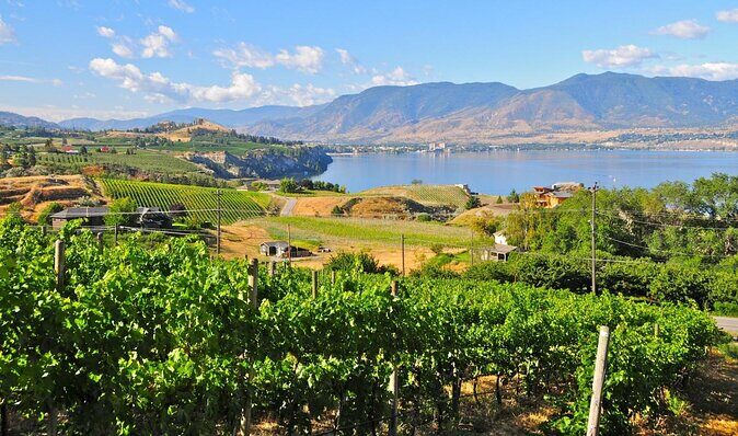 Private Boat Tour with Lunch Stop - Private Boat Tour with Lunch Stop: A Relaxing Day on Lake Okanagan